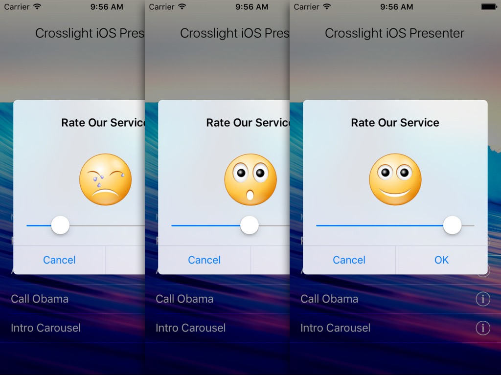 Getting Started with Crosslight Dialog Presenter | Intersoft Solutions Corporate Blog